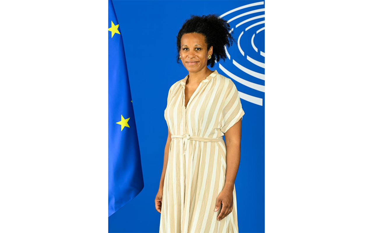 Interview with Nela RIEHL (MEP, Germany): African nations rightly claim ...